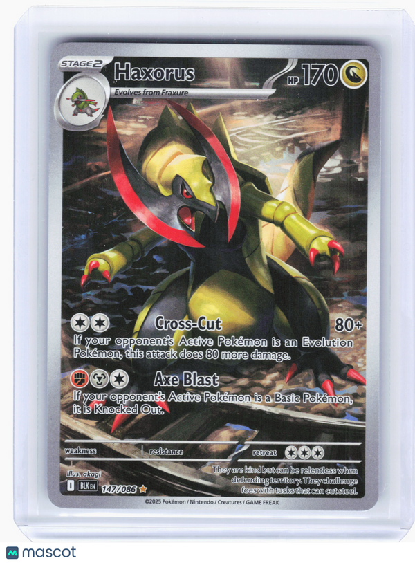 2025 Pokemon—Haxorus #147 Black Bolt—Illustration Rare Holo – Papa Joey ...